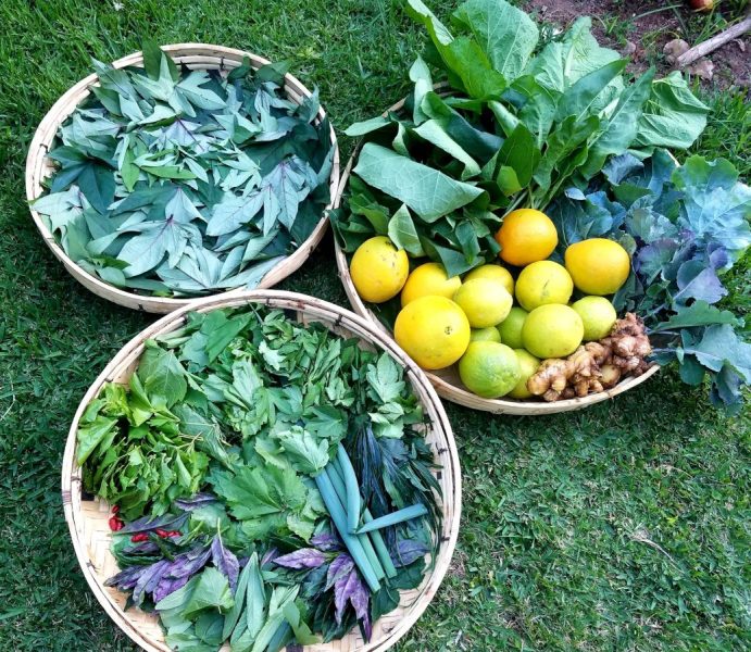 May Harvest - Subtropical Urban Eden
