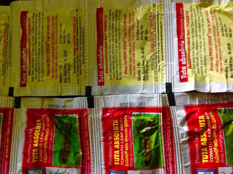 2 Pheromone Lure For Tuta Absoluta (without trap) - Subtropical Urban Eden
